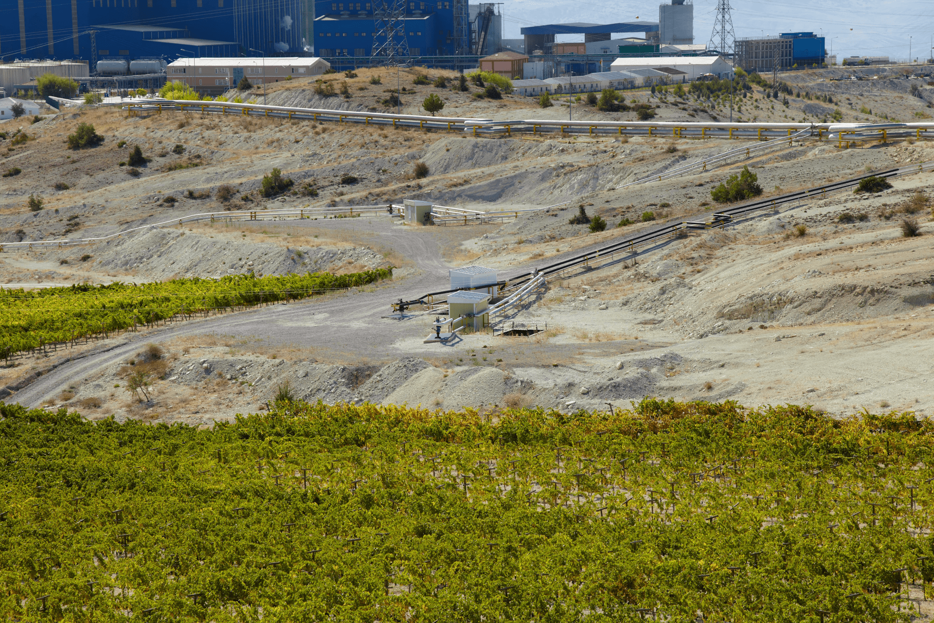 Our Business | WE Soda