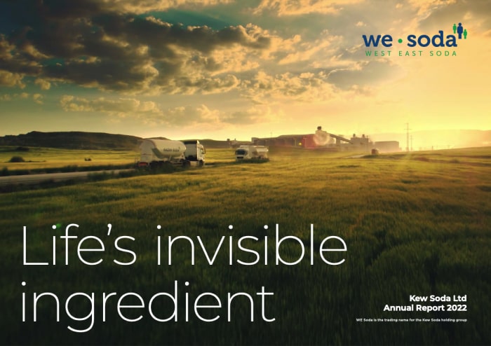 Sustainability Governance | WE Soda