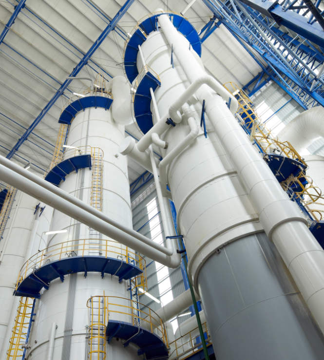 Our Business | WE Soda