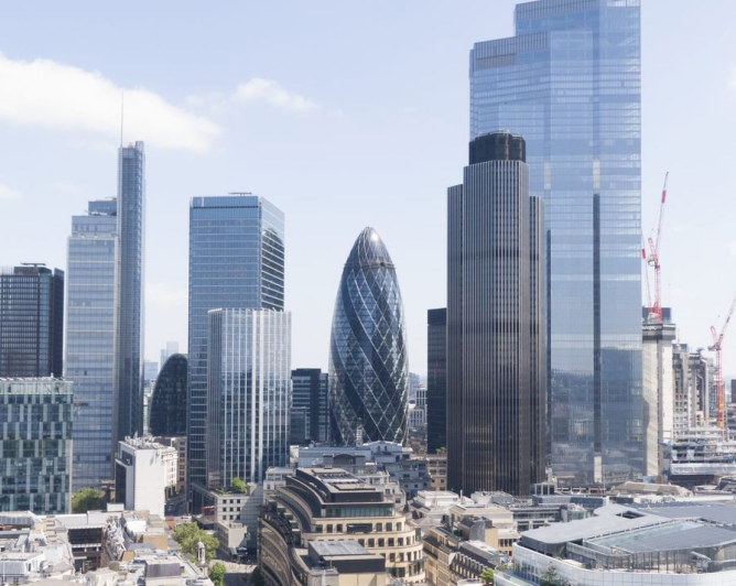 Investor Contacts | WE Soda