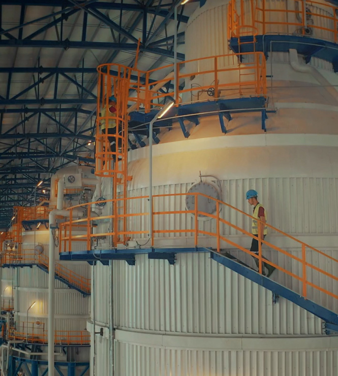 Performance and Innovation | WE Soda