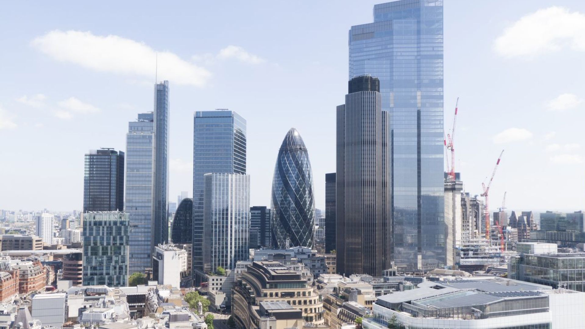 Sustainability Governance | WE Soda