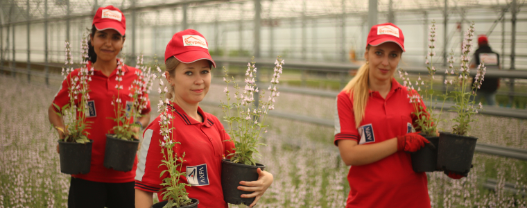 WE Soda | A global leader in soda ash | WE Soda